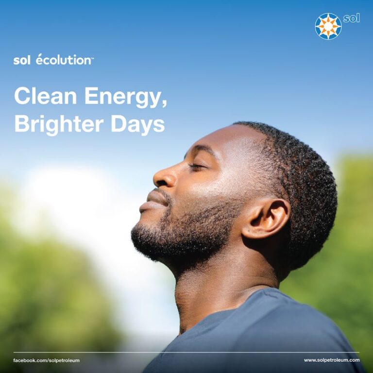 CLEAN ENERGY, BRIGHTER DAYS - Welcome to The Sol Group